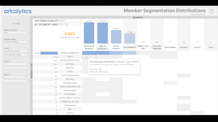 Member Segmentation for Credit Unions